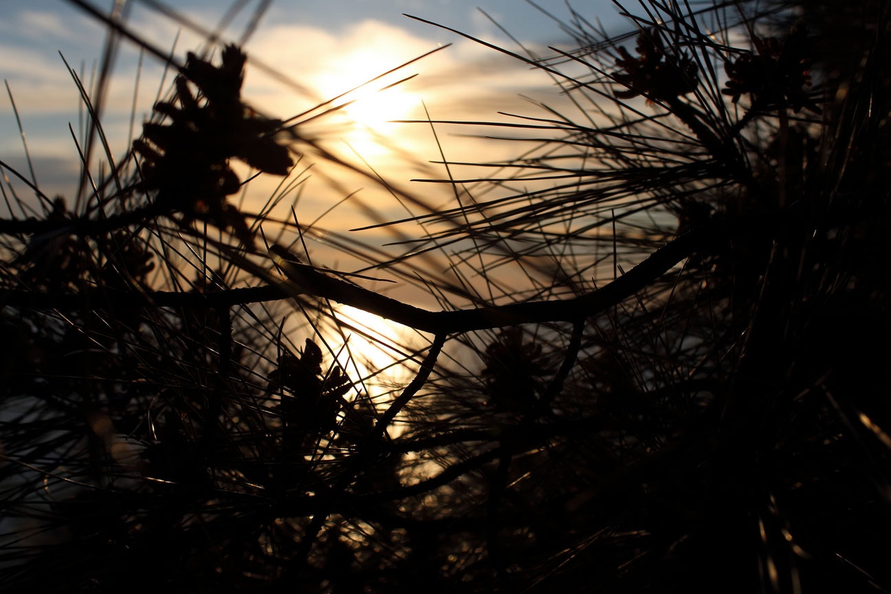 Better Living Program - History | Electrolux Indonesia